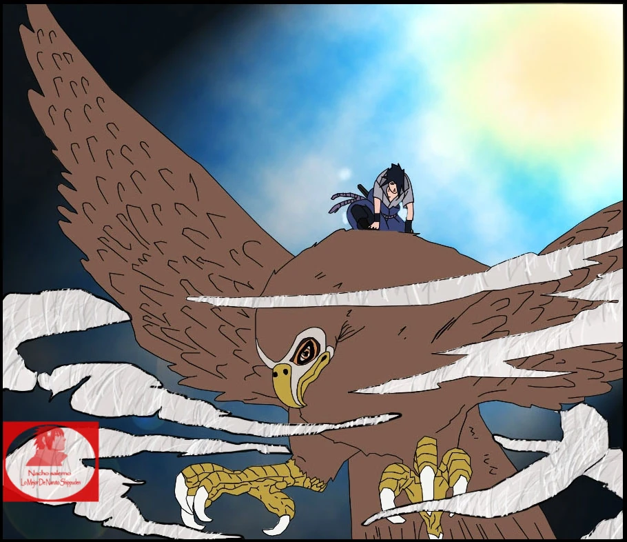 Hawk | Ivan Wikia | Fandom