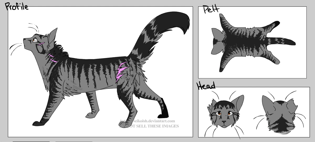 Fernstar | Ivyfrost’s Warriors Fanfiction Wiki | Fandom