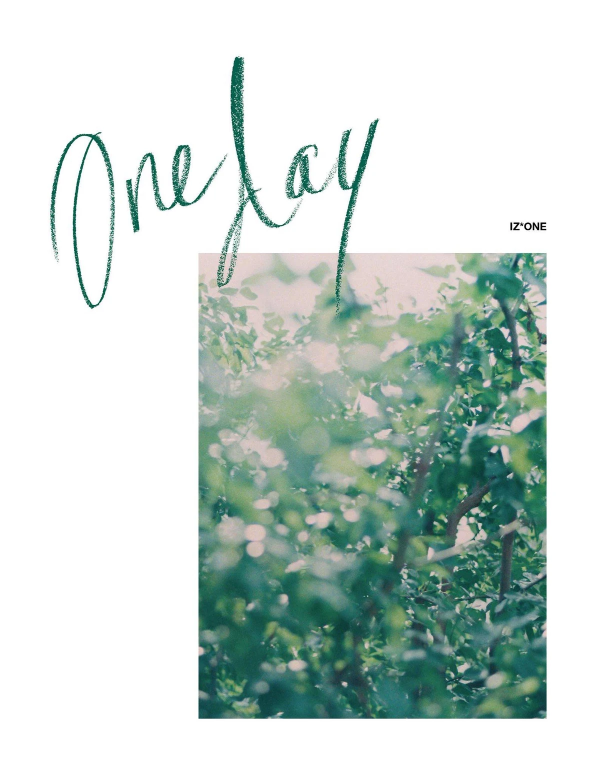One Day | IZ*ONE Wiki | Fandom