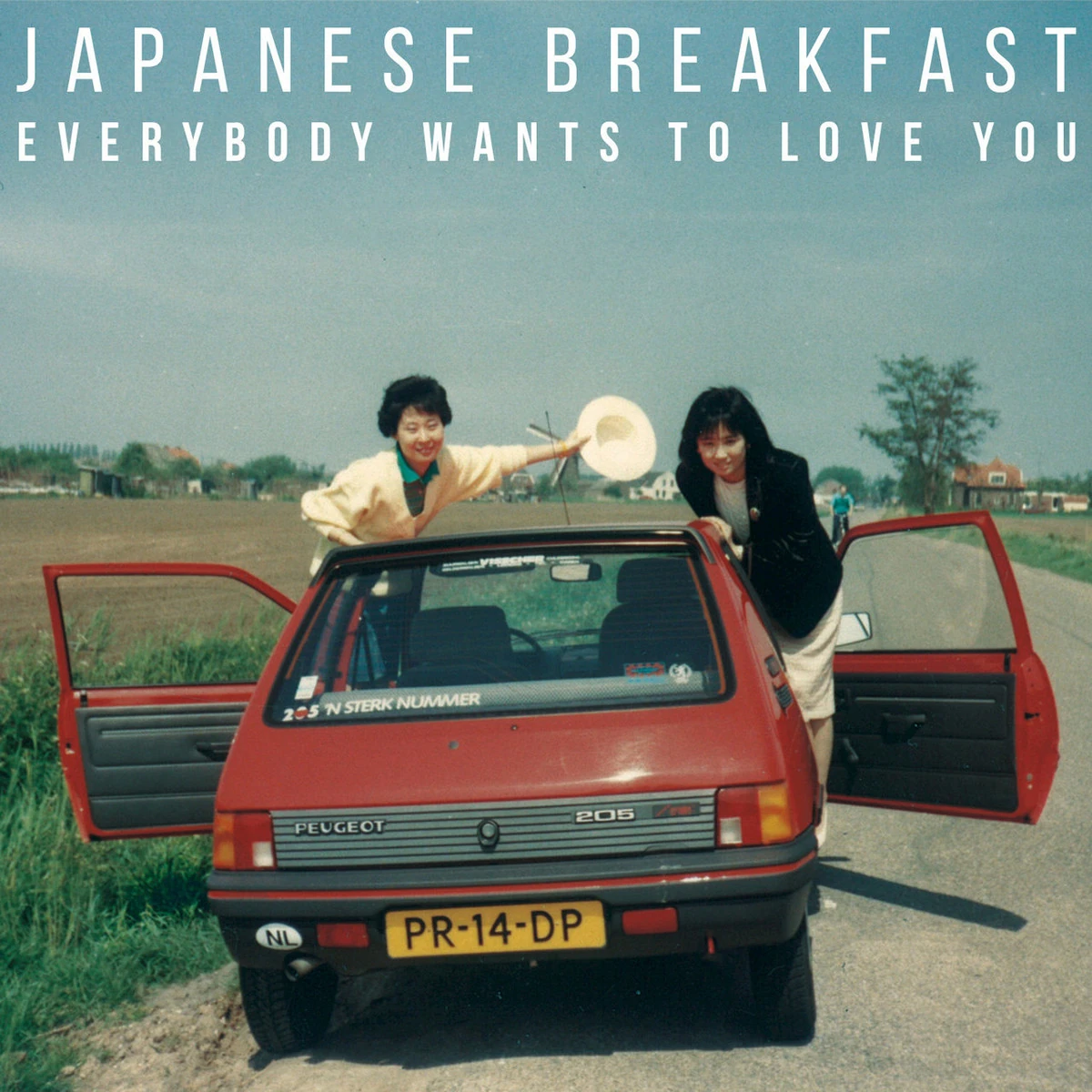 Everybody Wants To Love You | Japanese Breakfast Wiki | Fandom