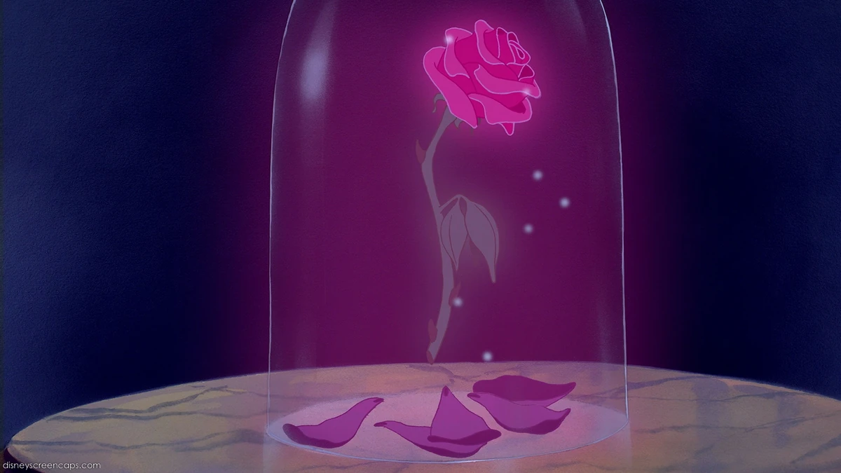 The Enchanted Rose | Jack Miller's Webpage of Disney Wiki | Fandom