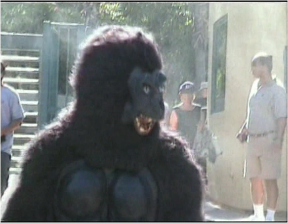 Day Monkey At Zoo | Jackass Wiki | Fandom