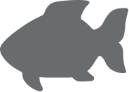 Bidiots | Jackbox Games Wiki | Fandom