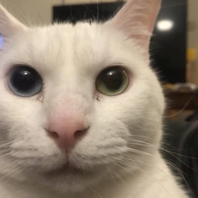 Cayce | JackCas Game Nights Wiki | Fandom