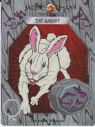 Rabbit Talisman/Gallery | Jackie Chan Adventures Wiki | Fandom