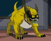 Scruffy | Jackie Chan Adventures Wiki | Fandom