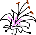 Lily | Jacknjellify Recommended Characters Wiki | Fandom