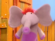 Elephant | Jack's Big Music Show Wiki | Fandom