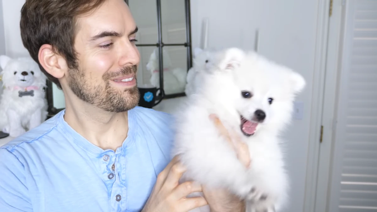 Chipwich | Jacksfilms Wiki | Fandom