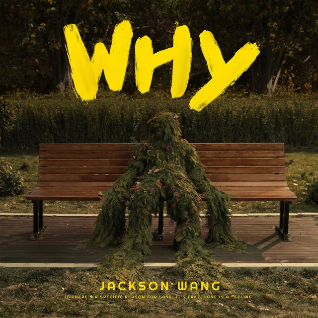 Why Why Why | Jackson Wang Wiki | Fandom