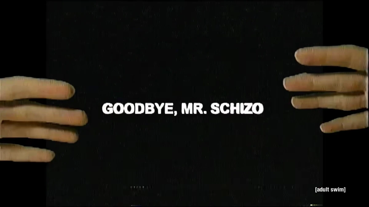 Goodbye Mr. Schizo | Jack Stauber Wiki | Fandom