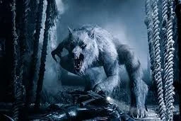 Werewolf Academy | Jackyyau Wiki | Fandom