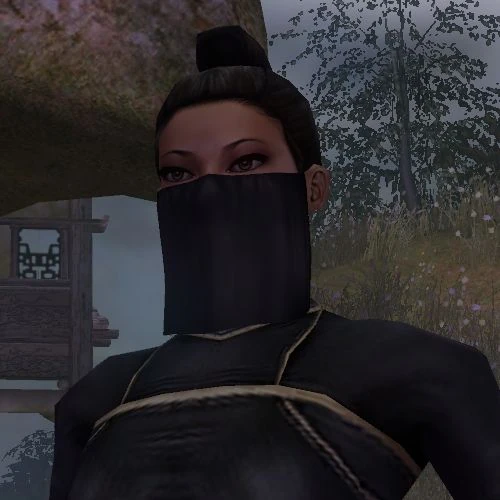 Quest: Silk Fox | Jade Empire Wiki | Fandom