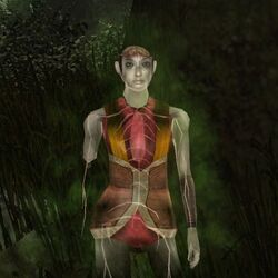 Spirits | Jade Empire Wiki | Fandom