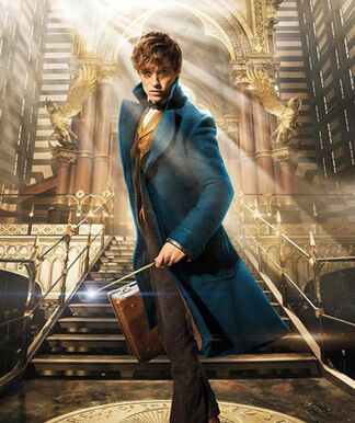 Newt Scamander | Jaden's Adventures Wiki | Fandom