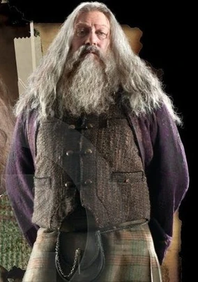 Aberforth Dumbledore Gabhair Aberforth Dumbledore | Harry Potter Wiki