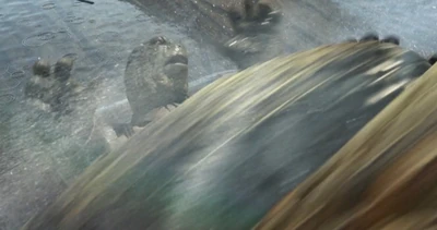 Tortoise John | Jaden's Adventures Wiki | Fandom