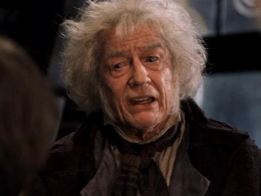 John Hurt Ollivander
