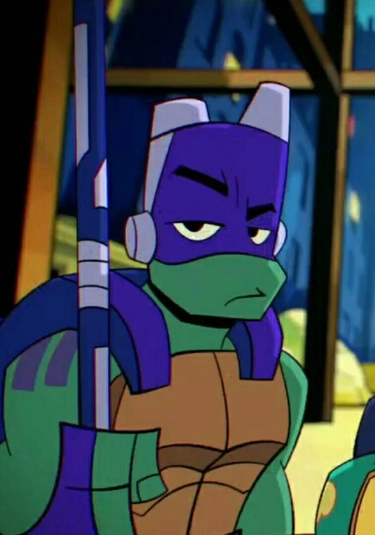 Donatello (Rise of the Teenage Mutant Ninja Turtles) | Jaden's ...