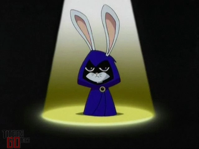 Jeffrey, Jaden & Friends' Storm Adventures of Teen Titans - Bunny Raven ...