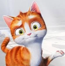 Thunder the Cat | Jaden's Adventures Wiki | Fandom