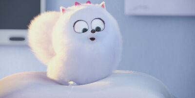 Gidget | Jaden's Adventures Wiki | Fandom