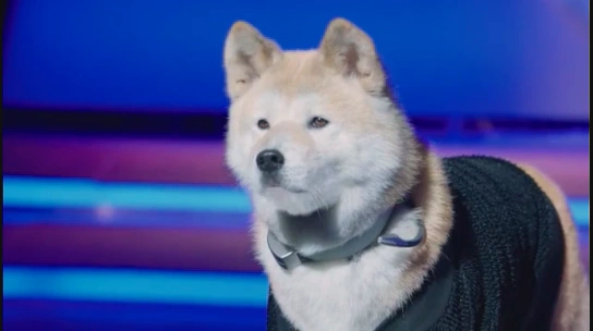 Bark (Pup Star) | Jaden's Adventures Wiki | Fandom