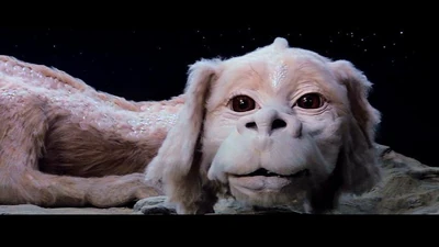 Falkor | Jaden's Adventures Wiki | Fandom