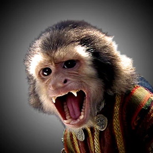 Jack the monkey | Jaden's Adventures Wiki | Fandom