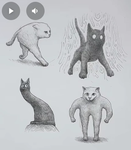 Meme Cats | Jadokar Wiki | Fandom