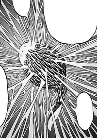Shintarou Jagasaki | Jagaaaaaan Wiki | Fandom