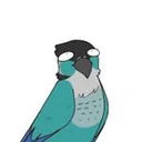 Ariandjaidenfan | Jaiden Animations Wiki | Fandom