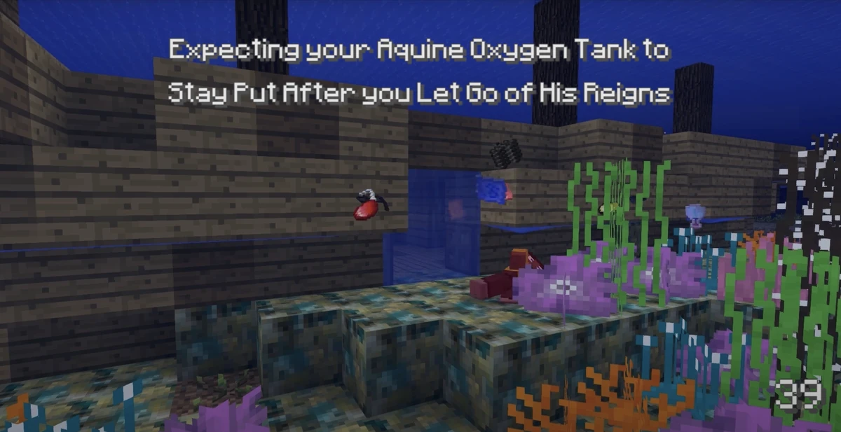 Expecting your Aquine Oxygen Tank to Stay Put After you Let Go of His ...