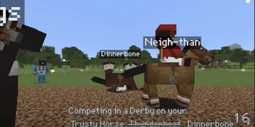 Dinnerbone Upside Down