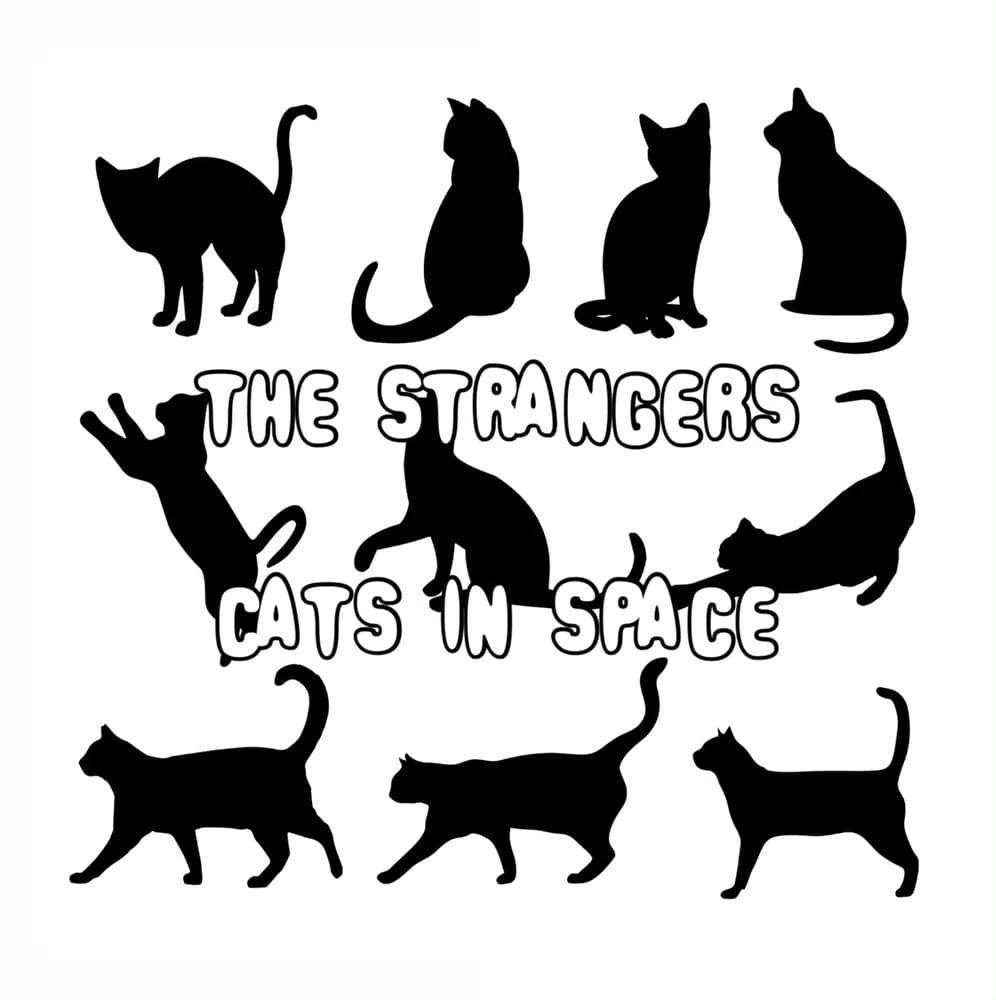 Cats In Space | Jake Silverman Wiki | Fandom