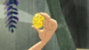 Gold Doubloons | Jake and the Never Land Pirates Wiki | Fandom