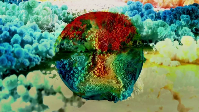 The New Rose | Jake Chudnow Wiki | Fandom