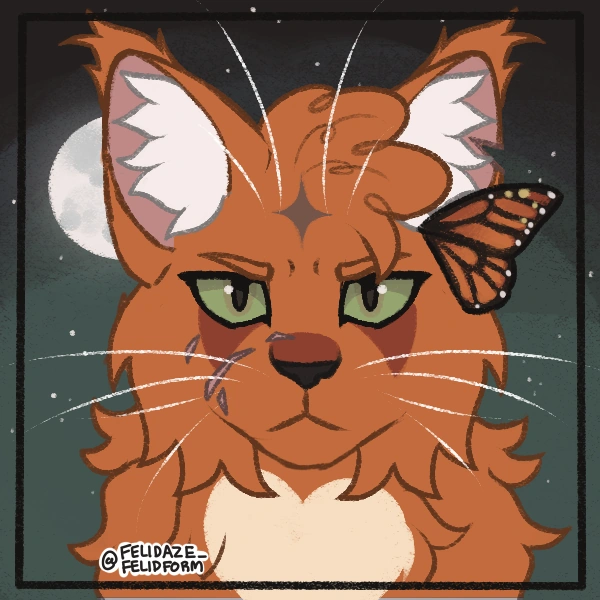 Squirrelstar | Jakei Hunter Wiki | Fandom