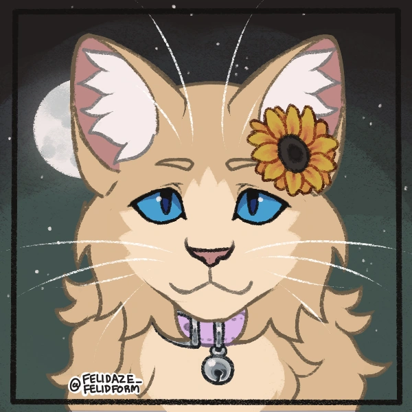 Jewel | Jakei Hunter Wiki | Fandom