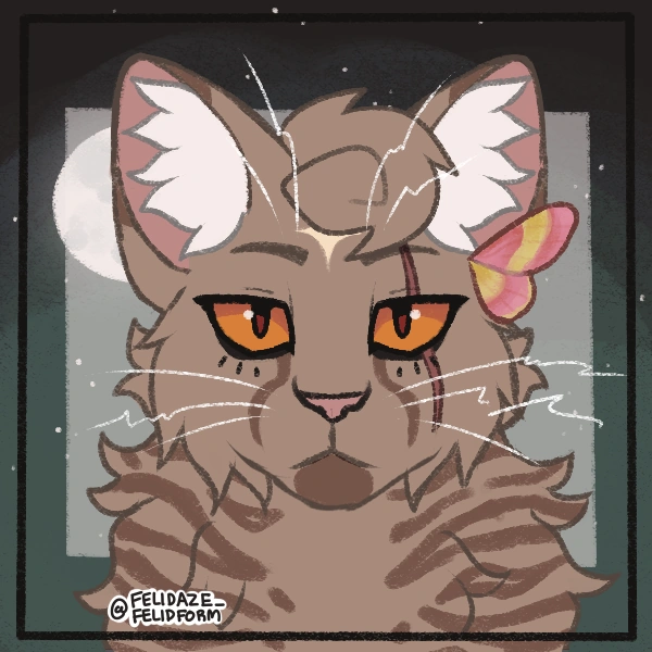 Brokenpool | Jakei Hunter Wiki | Fandom