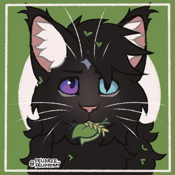 Dovefeather | Jakei Hunter Wiki | Fandom