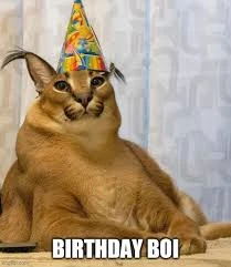 Birthday Floppa | Jakepedia Wiki | Fandom