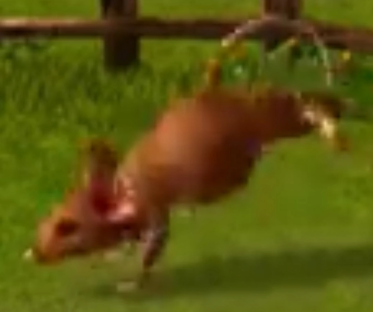 Mouse | Jakers! Wiki | Fandom