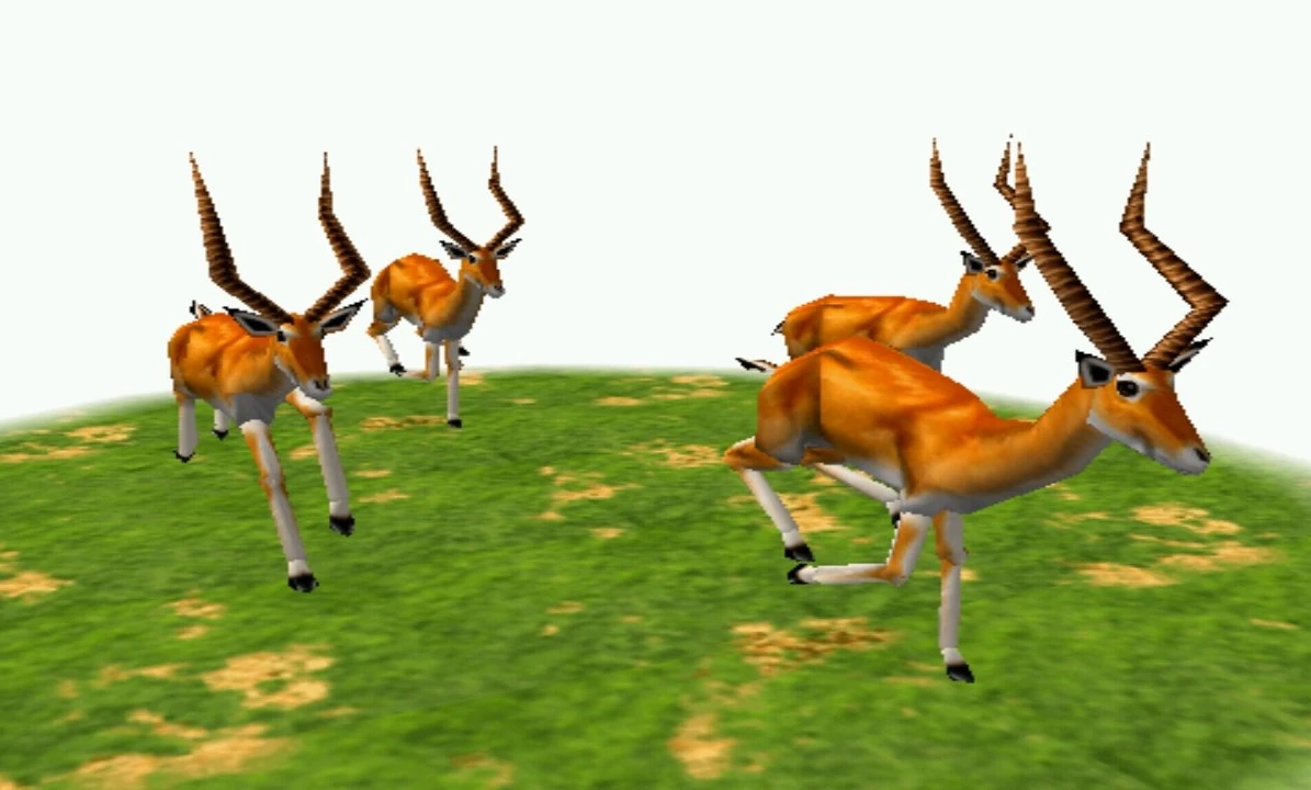 Impala | Jambo! Safari Wiki | Fandom