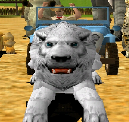 White Lion | Jambo! Safari Wiki | Fandom