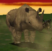 Black Rhinoceros | Jambo! Safari Wiki | Fandom