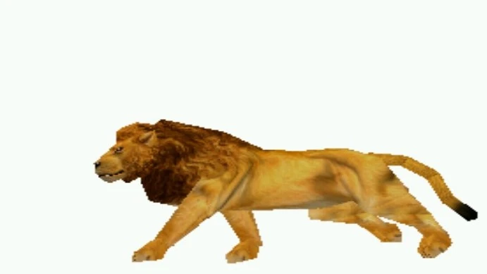 Lion | Jambo! Safari Wiki | Fandom