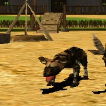 African Wild Dog | Jambo! Safari Wiki | Fandom