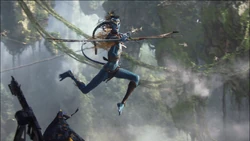 Tsu'tey | Avatar Wiki | Fandom