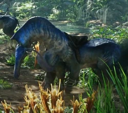 Direhorse | Avatar Wiki | Fandom